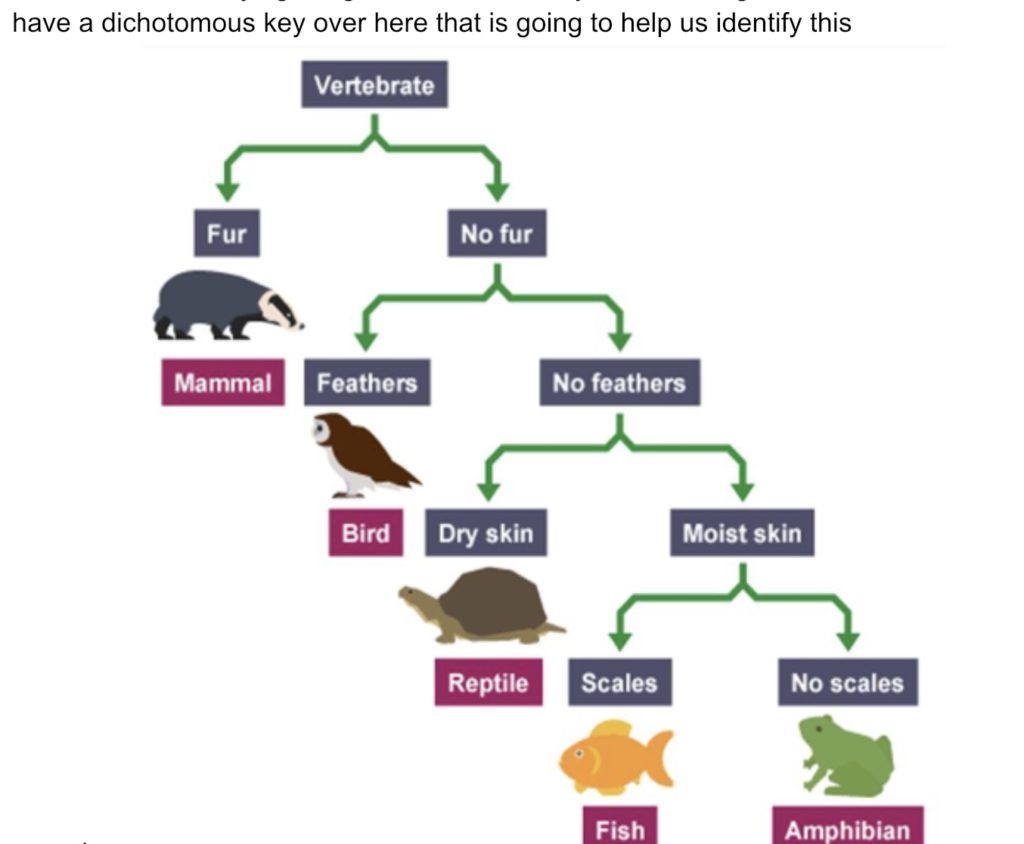 Dichotomous Keys | Cambridge IGCSE Biology - Tutopiya